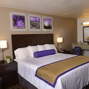 The Grand Canyon University Hotel Phoenix: What To Expect From 4 star ...
